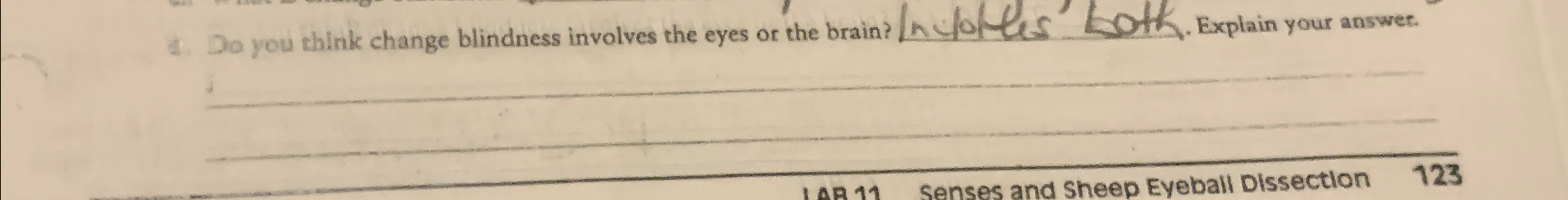 Solved Do you think change blindness involves the eyes or | Chegg.com