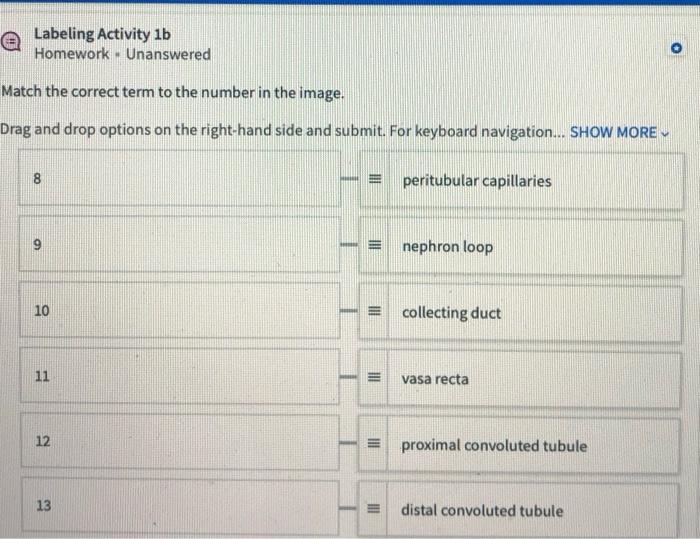 Solved Drag and drop options on the right-hand side and | Chegg.com
