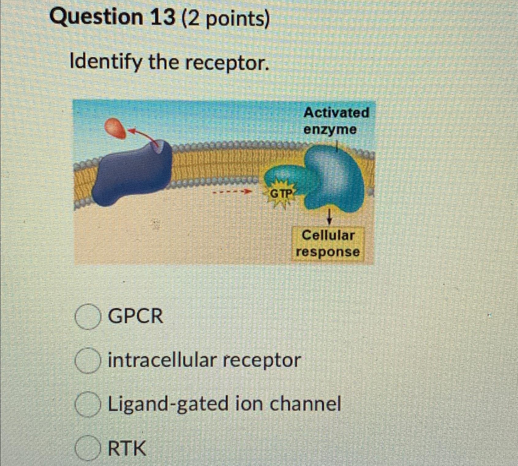 Solved Question 13 (2 ﻿points)Identify the | Chegg.com