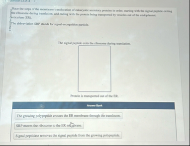 Solved the riboome during trasslation, and ending with the | Chegg.com