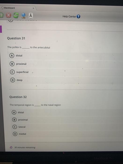 Solved Blackboard Ä Help Center Question 31 The pollex is to | Chegg.com