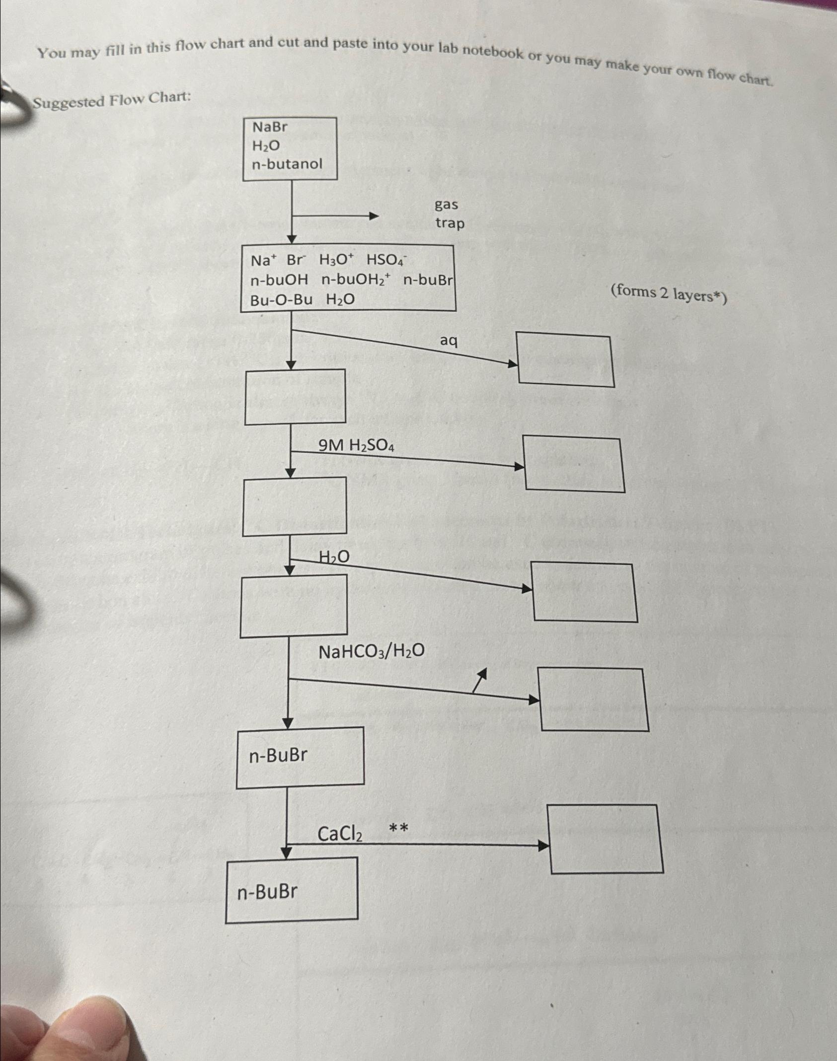 Solved You may fill in this flow chart and cut and paste | Chegg.com