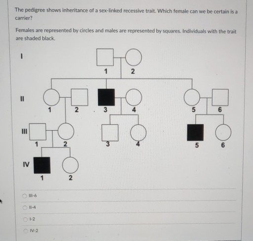 Solved The Pedigree Shows Inheritance Of A Sex Linked