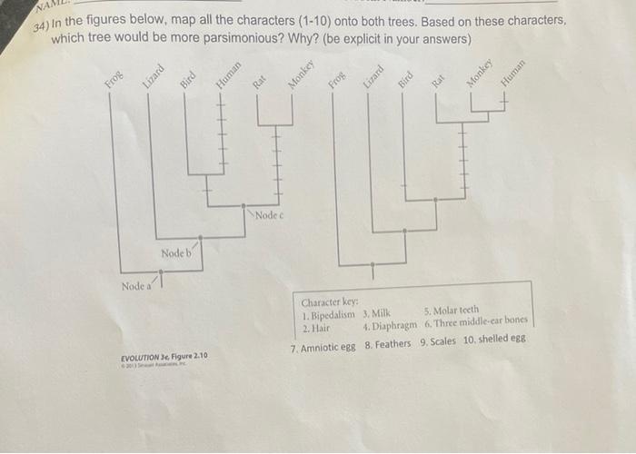 Solved 34) In the figures below, map all the characters | Chegg.com