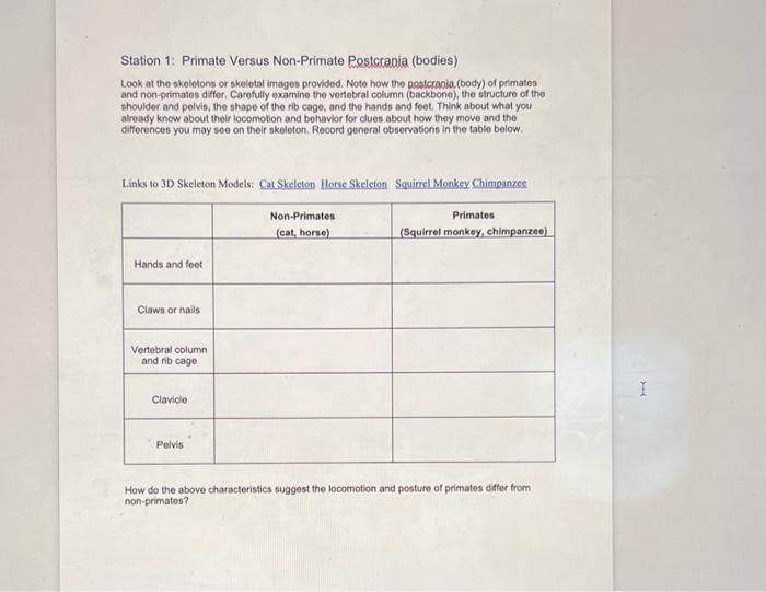 Solved Station 1: Primate Versus Non-Primate Postcrania | Chegg.com