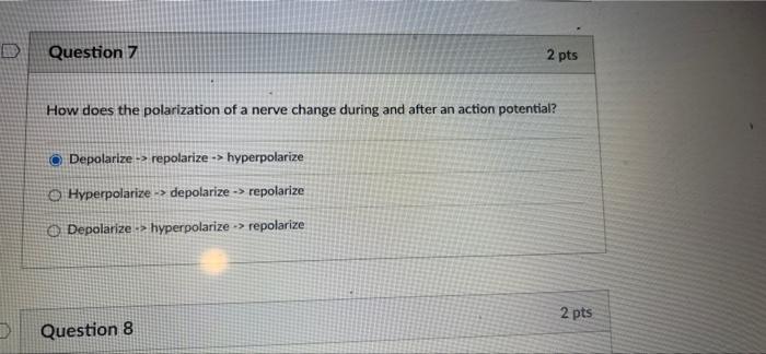 Solved Question 7 2 pts How does the polarization of a nerve | Chegg.com