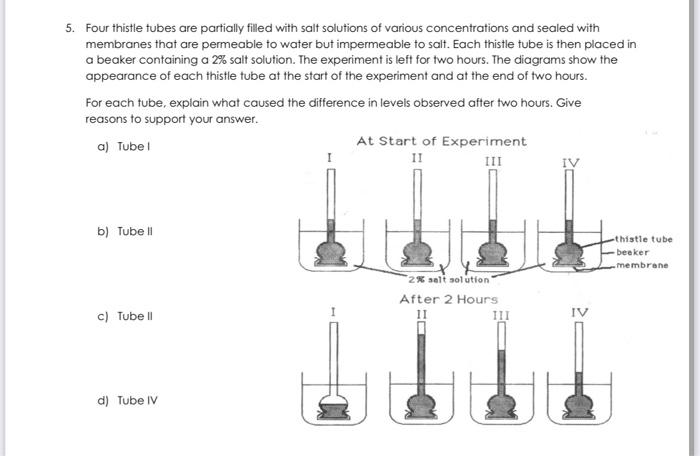 Solved 5. Four thistle tubes are partially filled with salt | Chegg.com