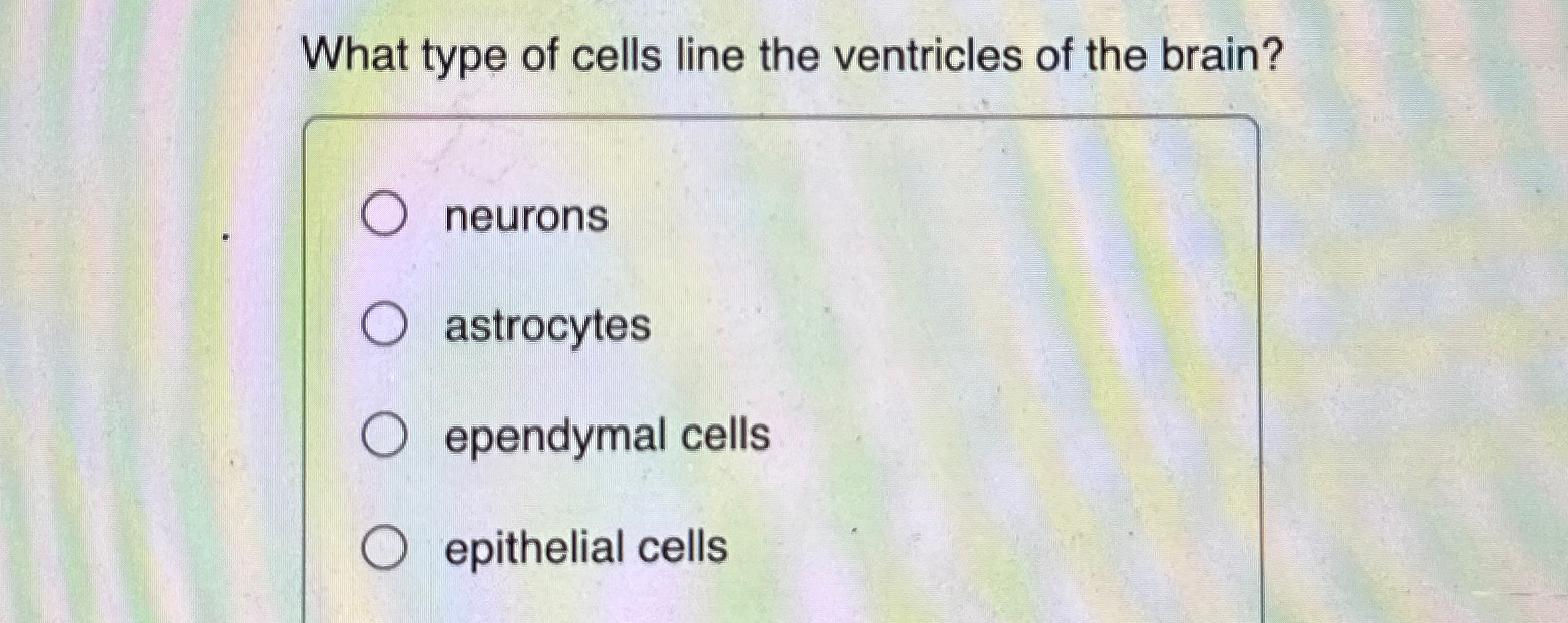 Solved What type of cells line the ventricles of the | Chegg.com