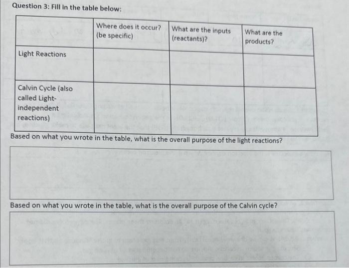 Solved Question 3: Fill in the table below: | Chegg.com