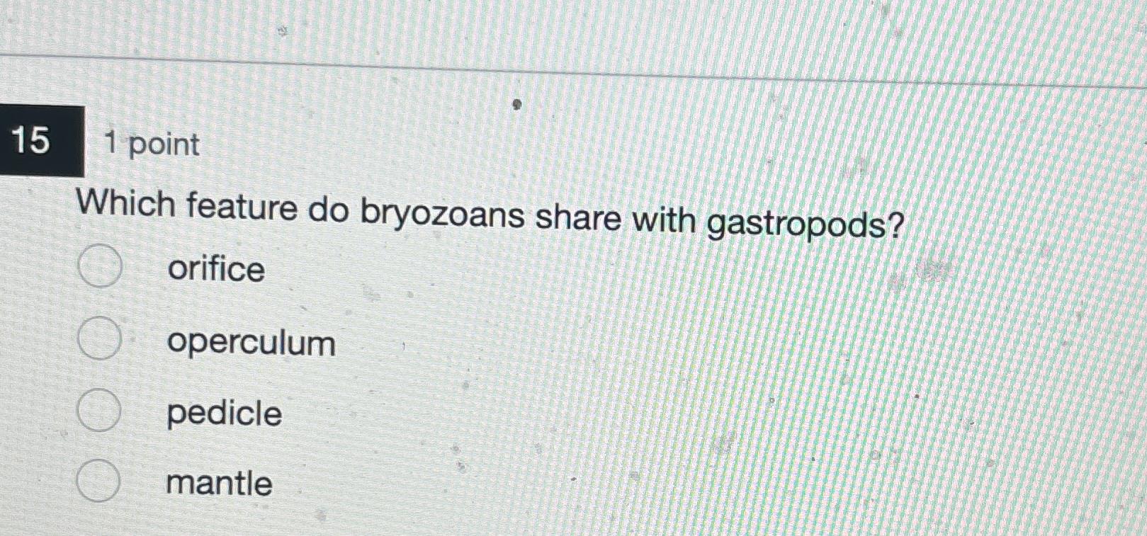 Solved 151 ﻿pointWhich feature do bryozoans share with | Chegg.com