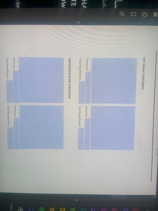 Solved make one wet mount slide of the pond water sample | Chegg.com
