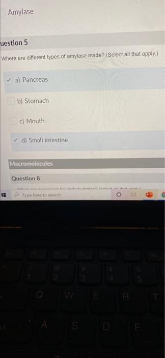 Solved Amylase uestion 5 Where are different types of | Chegg.com