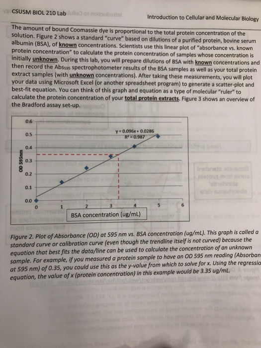 Solved 1-calculate the protein concentration of the | Chegg.com