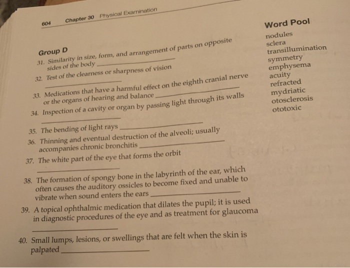 Solved Chapter 30 Physical Examination 604 Word Pool Group D | Chegg.com
