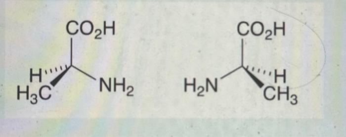 Solved what is the relationship between these two | Chegg.com