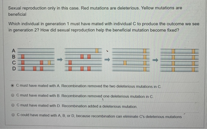 Solved Sexual reproduction only in this case. Red mutations | Chegg.com