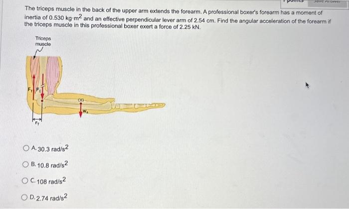 Solved The triceps muscle in the back of the upper arm | Chegg.com