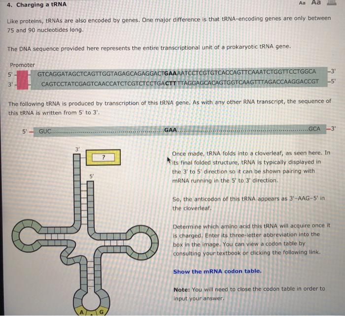 Solved 4. Charging a tRNA Aa Aa Like proteins, tRNAs are | Chegg.com