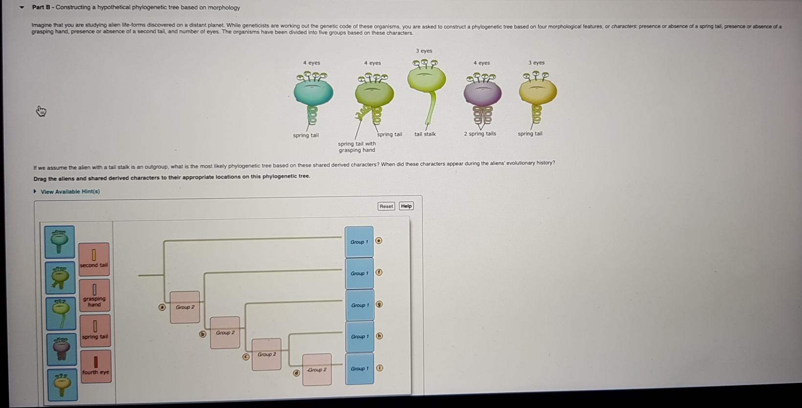 Solved Part B - Constructing a hypothetical phylogenetic | Chegg.com
