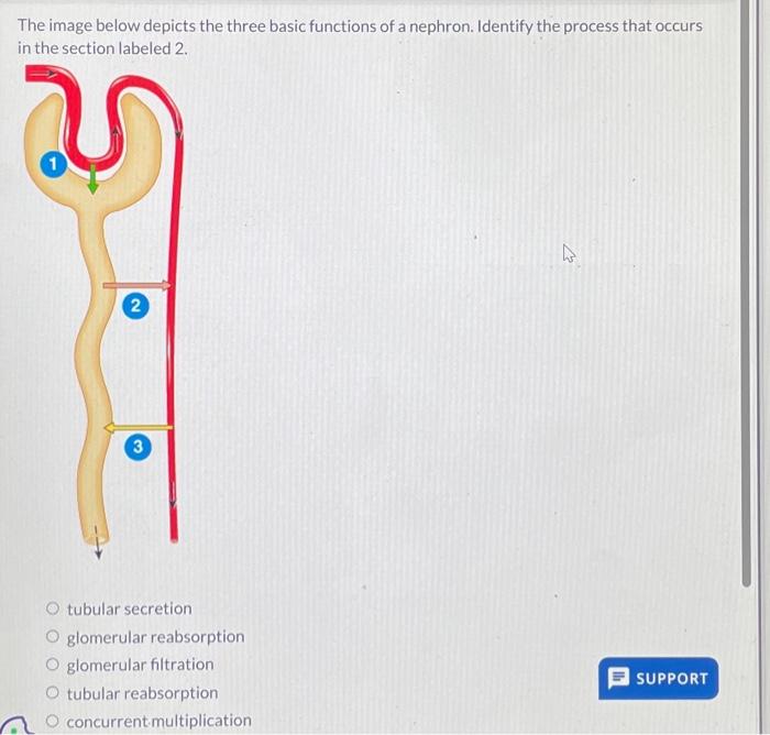 Solved The image below depicts the three basic functions of | Chegg.com