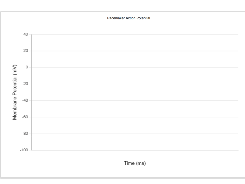 Pacemaker Action Potential andNon-Pacemaker (Myocyte) | Chegg.com