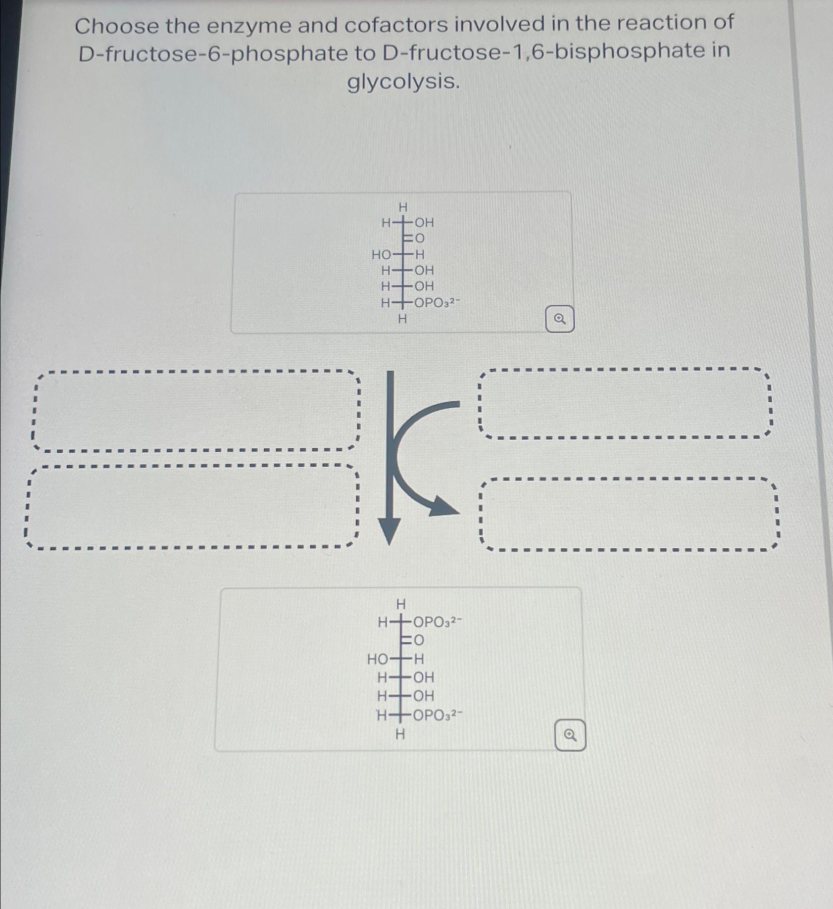 Solved Choose the enzyme and cofactors involved in the | Chegg.com