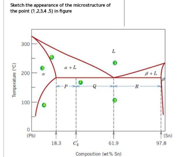 Solved Sketch the appearance of the microstructure of the | Chegg.com