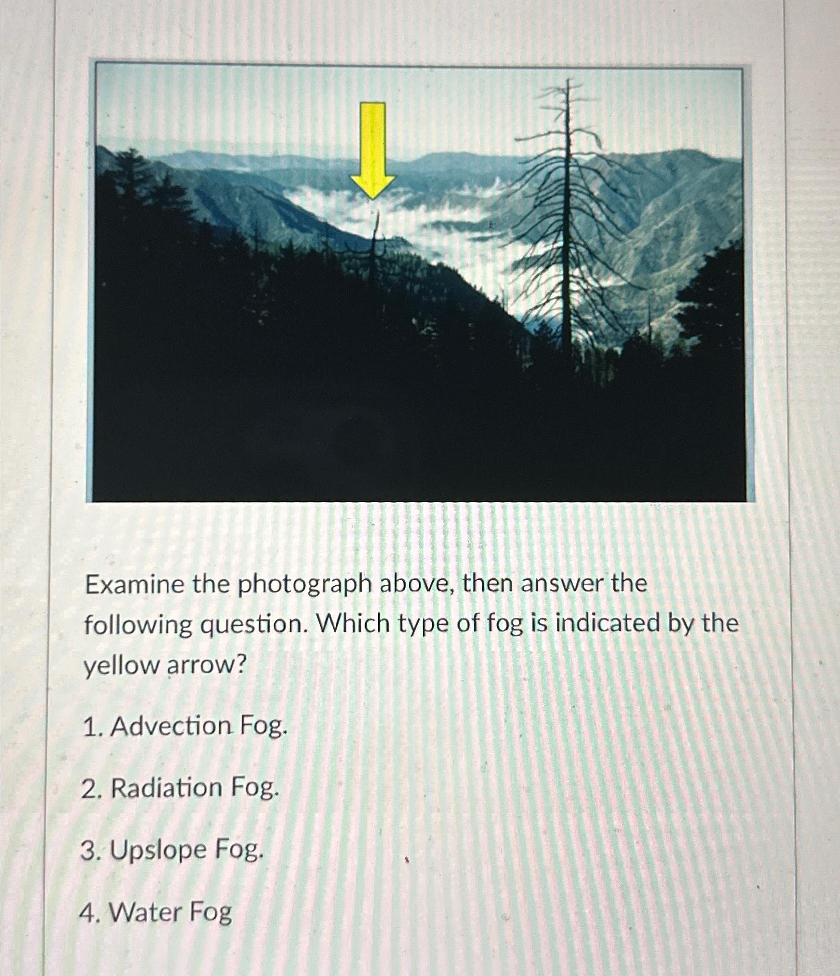 Solved Examine the photograph above, then answer the | Chegg.com