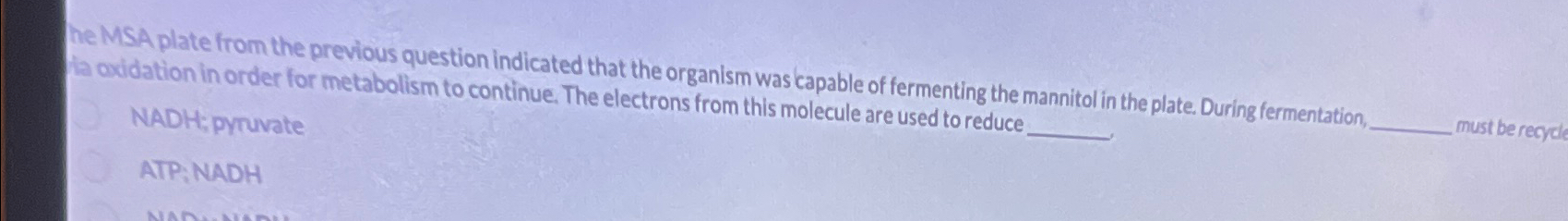 Solved The MSA plate from the previous question indicated | Chegg.com