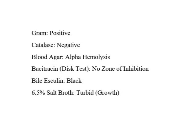 Solved Gram: Positive Catalase: Negative Blood Agar: Alpha | Chegg.com