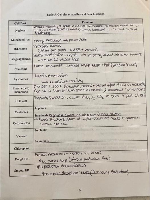 Solved Table 5: Cellular organelles and their functions. 24 | Chegg.com