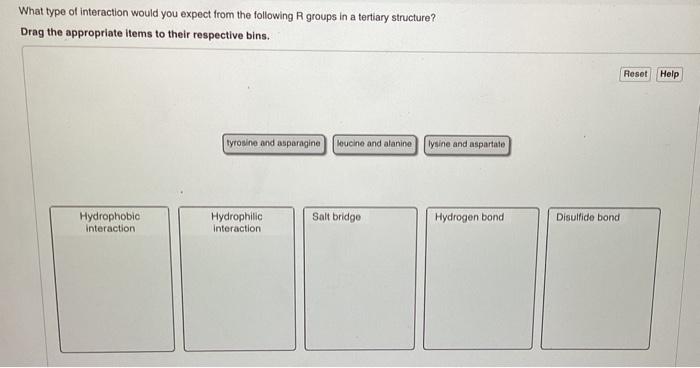 Solved What type of interaction would you expect from the | Chegg.com