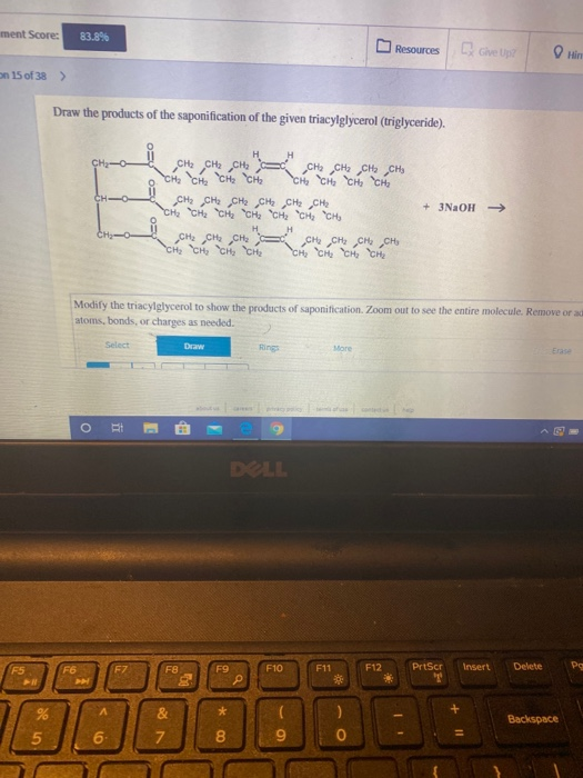 Solved ment Score: 83.8% Resources D Give Up? Hin on 15 of | Chegg.com Solved ment Score: 83.8% Resources D Give Up? Hin on 15 of | Chegg.com