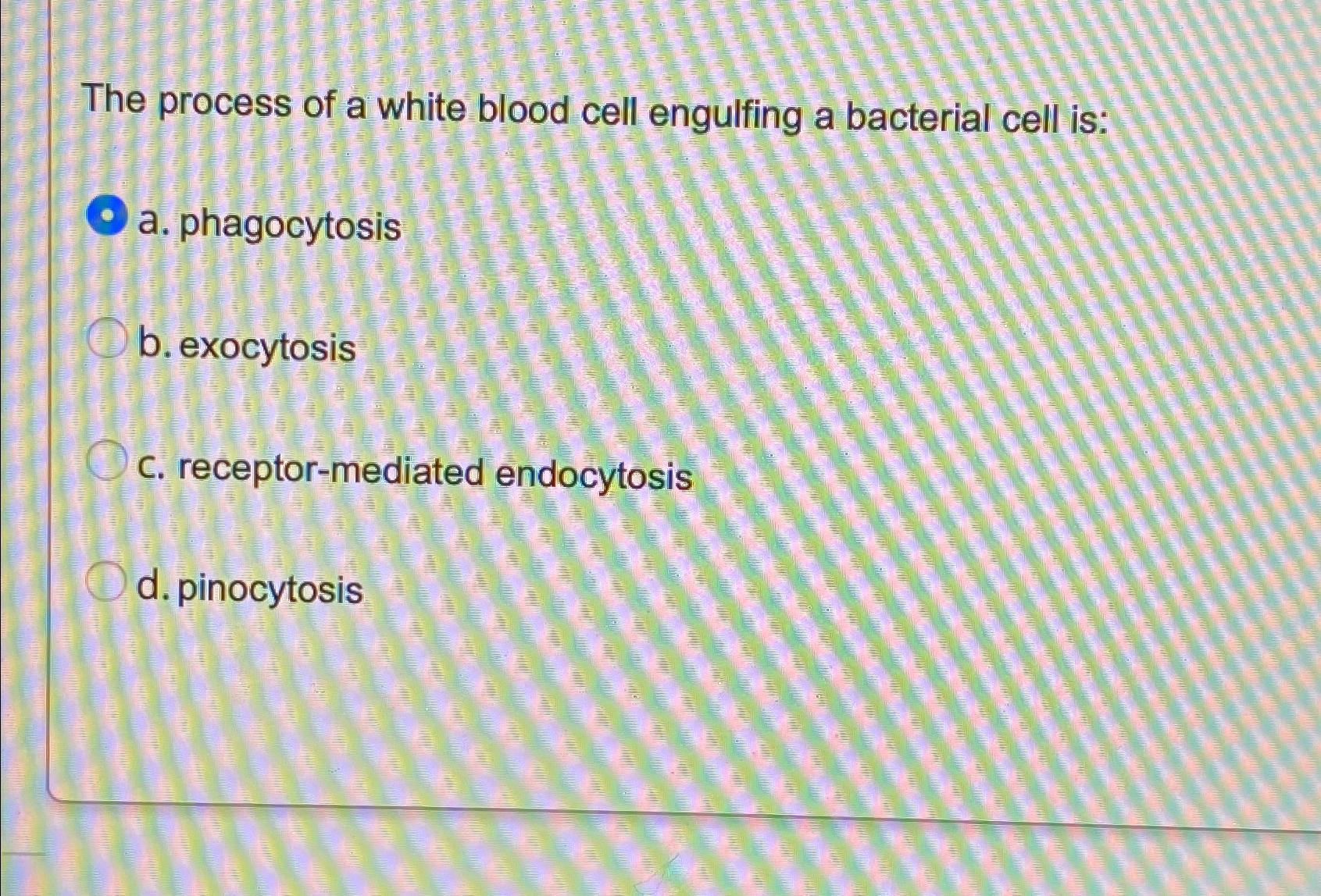 Solved The process of a white blood cell engulfing a | Chegg.com