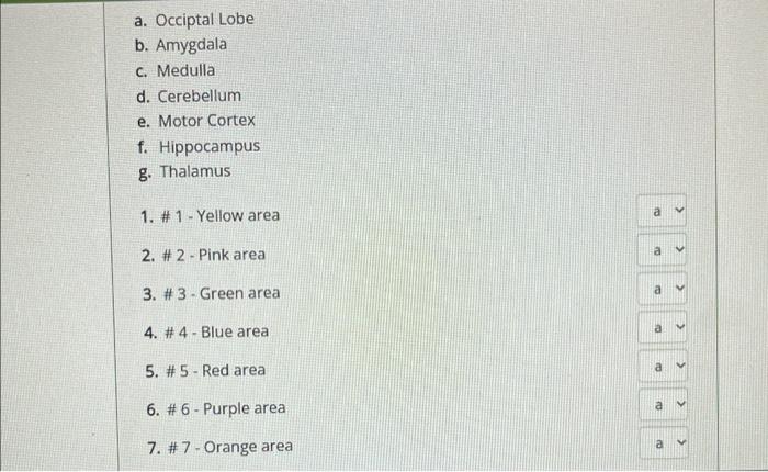 Solved Please answer the following with all parts. Both | Chegg.com
