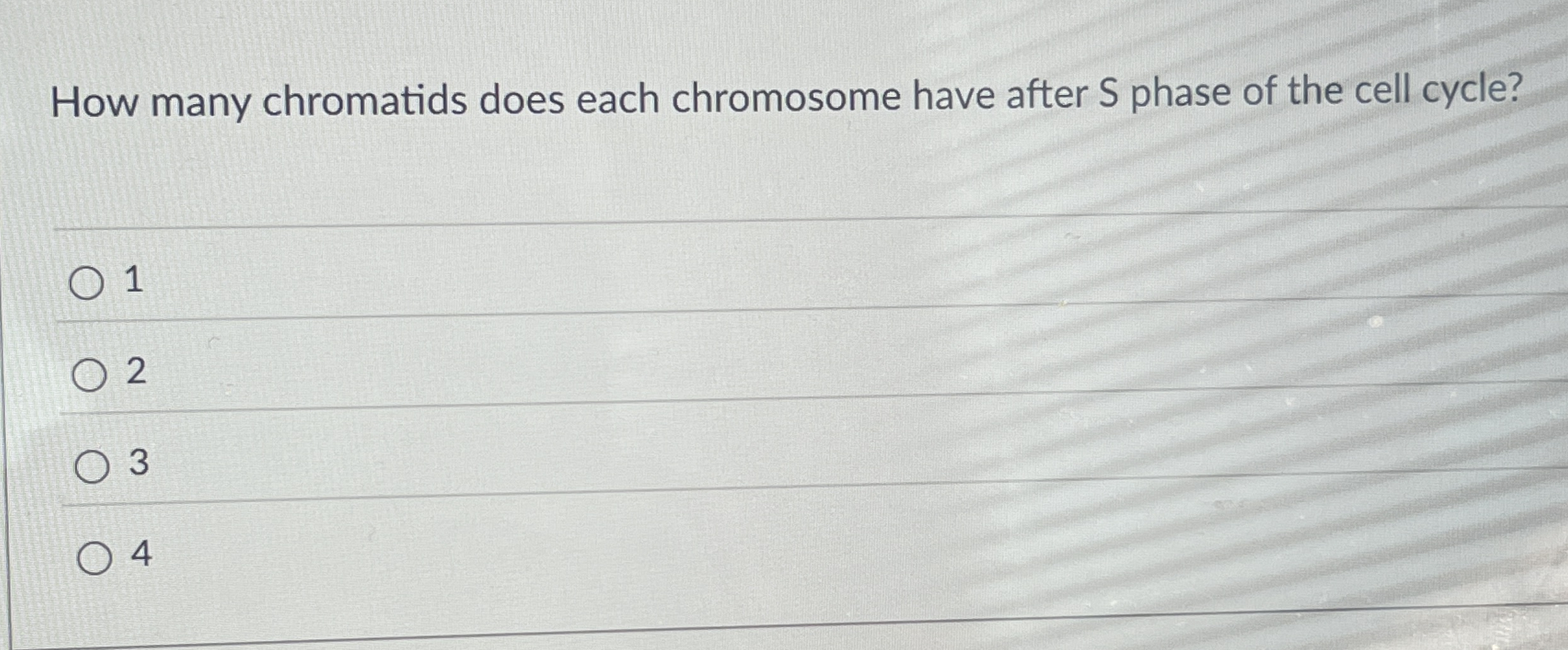 Solved How many chromatids does each chromosome have after S | Chegg.com