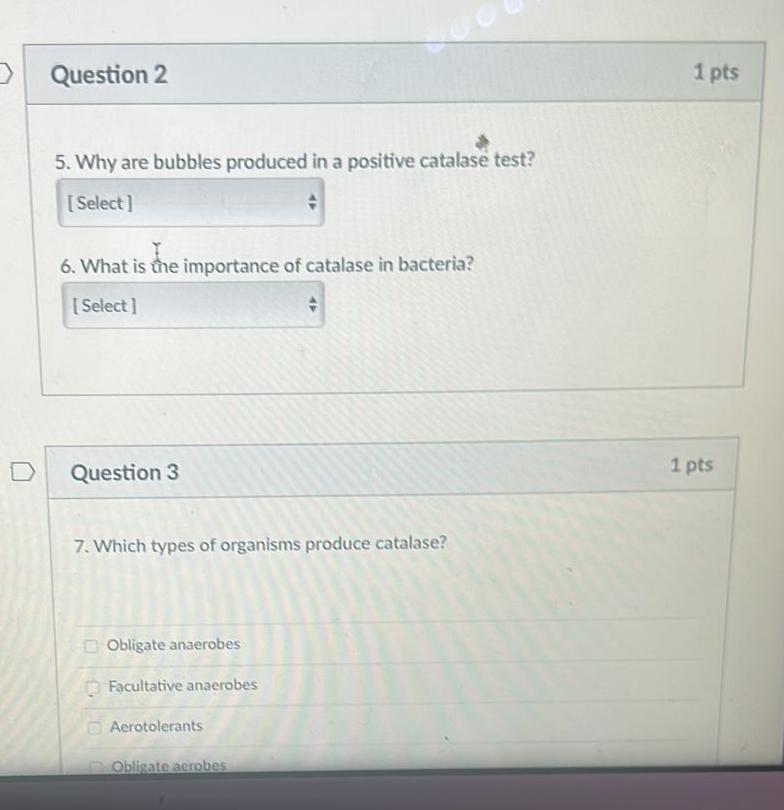 Solved Question 21 ﻿pts5. ﻿Why are bubbles produced in a | Chegg.com
