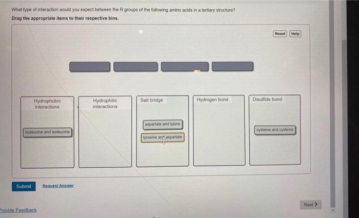 Solved What type of interaction would you expect between the | Chegg.com