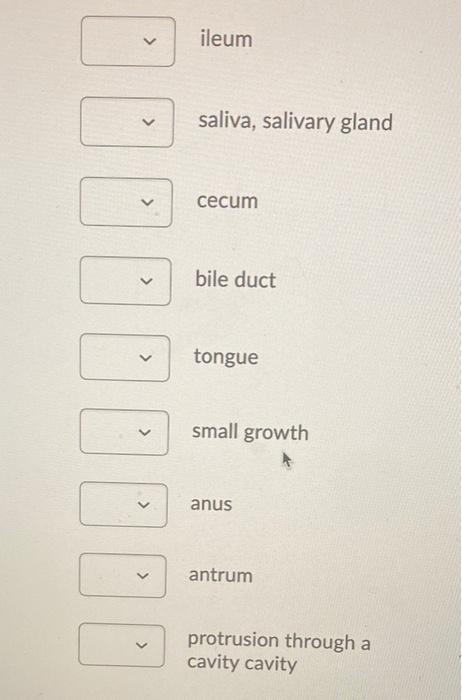 Solved Match the roots / combining forms to their meaning | Chegg.com