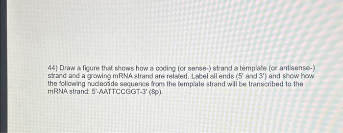Solved Draw a figure that shows how a coding (or sense-) | Chegg.com