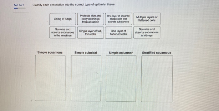 Solved Part 1 of 3 Classify each description into the | Chegg.com