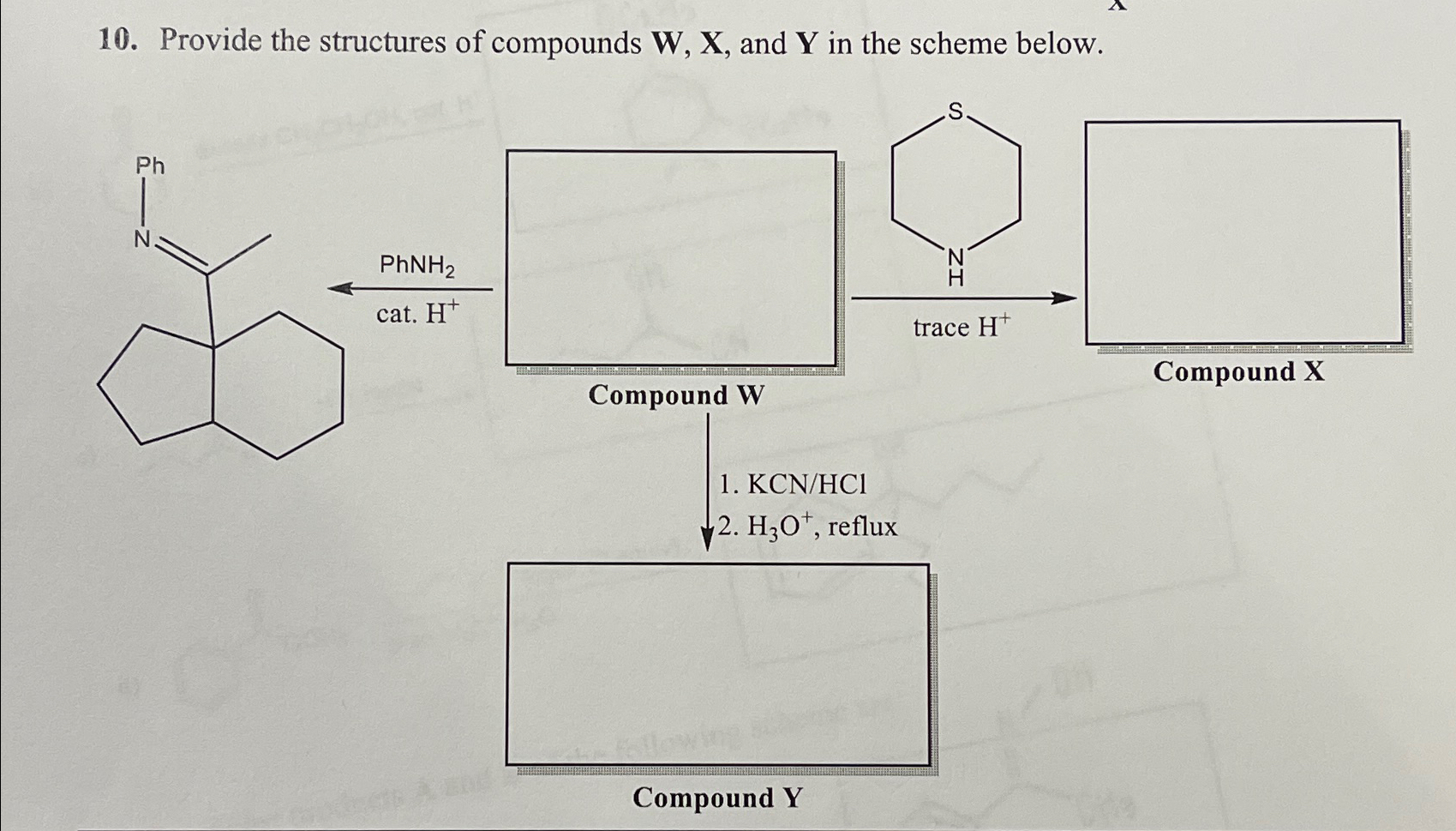 Solved Provide the structures of compounds W,x, ﻿and Y ﻿in | Chegg.com