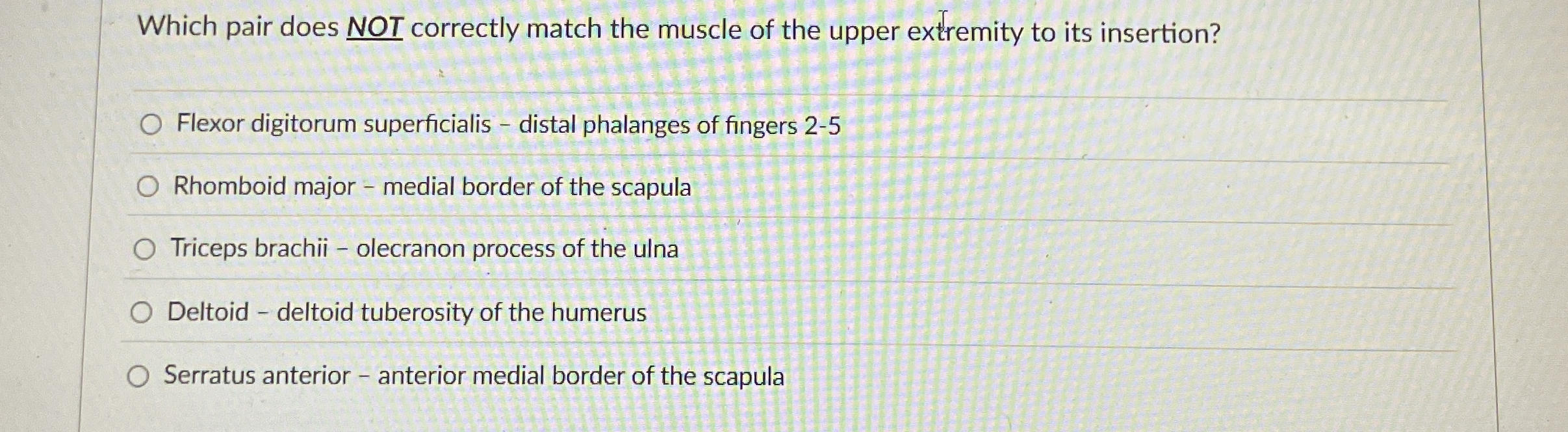 Solved Which pair does NOT correctly match the muscle of the | Chegg.com