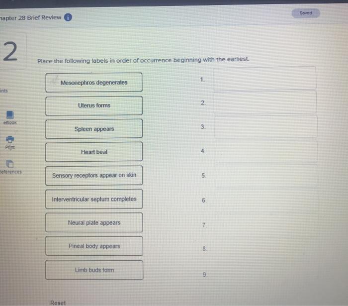 Solved Saved hapter 28 Brief Review 2 Place the following | Chegg.com