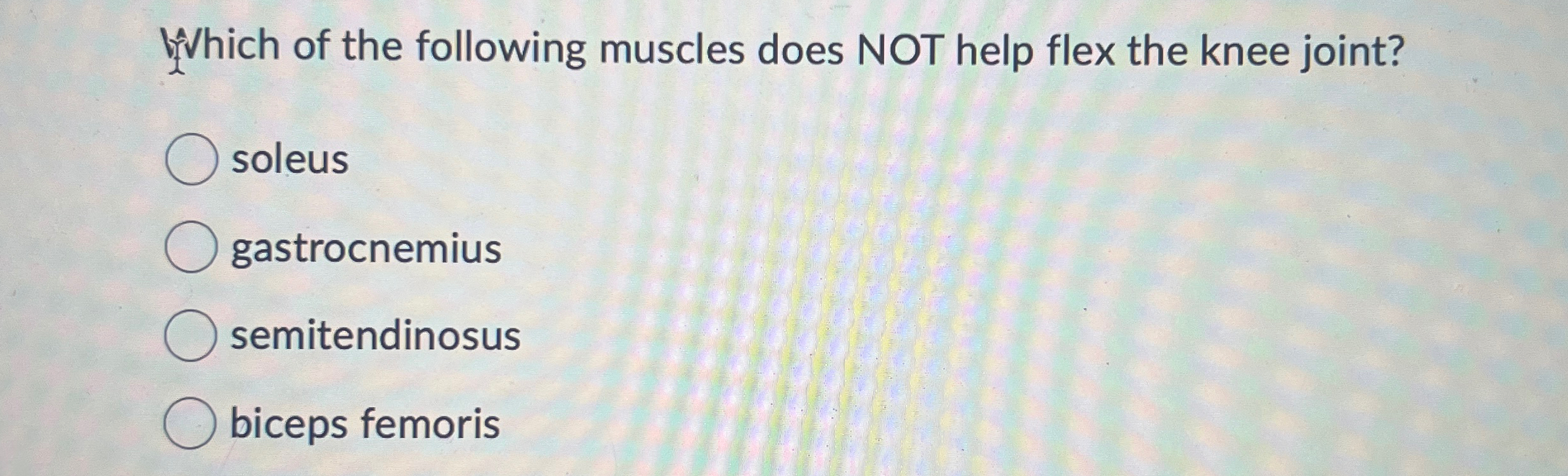 Solved Yo Vhich of the following muscles does NOT help flex | Chegg.com