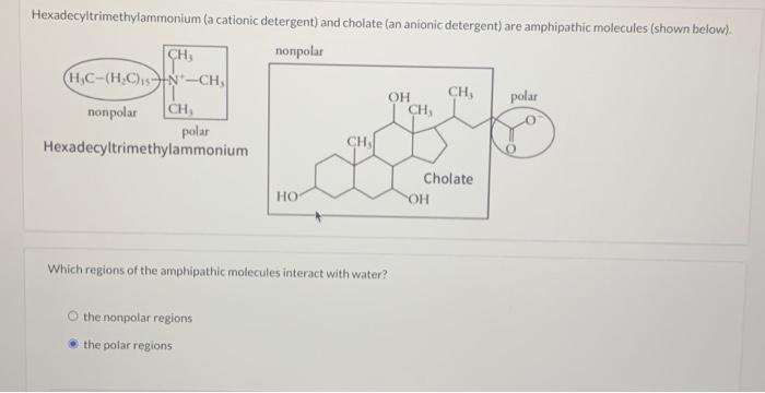 Solved Hexadecyltrimethylammonium (a cationic detergent) and | Chegg.com