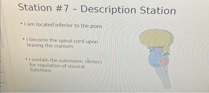 Solved tation \#1 - Description Station I contain cell | Chegg.com