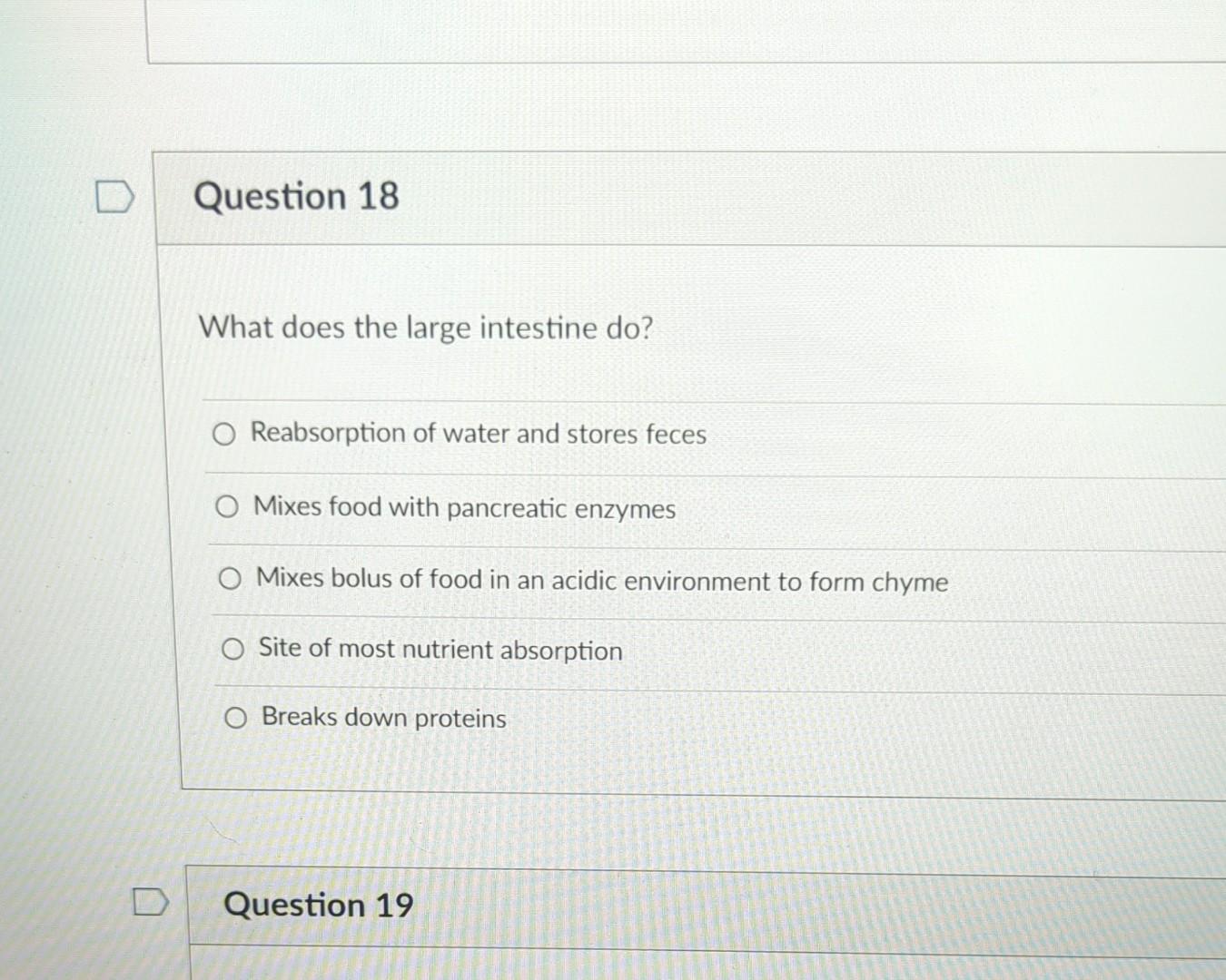 Solved What does the large intestine do? Reabsorption of | Chegg.com