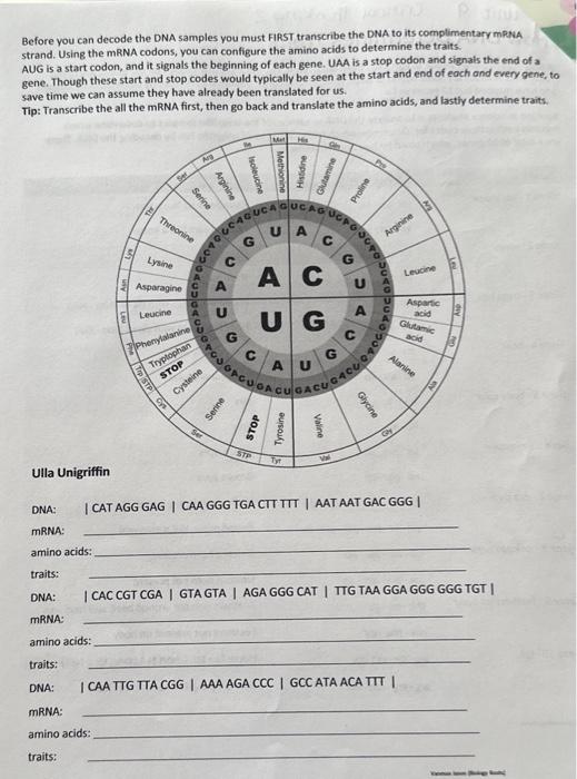 How DNA Determines Traits A distant alien planet | Chegg.com