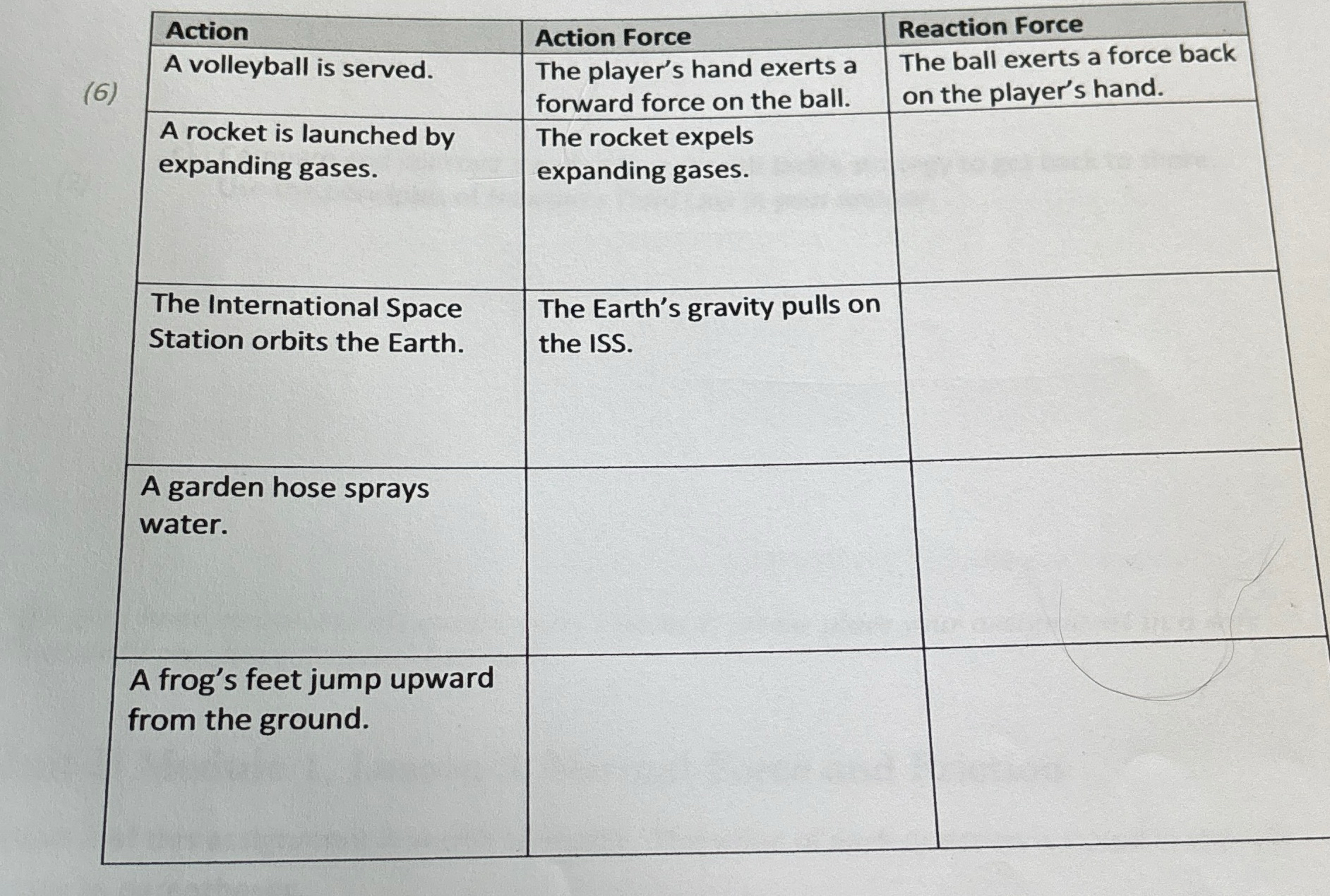 Solved (6)\table[[Action,Action Force,Reaction Force],[A | Chegg.com